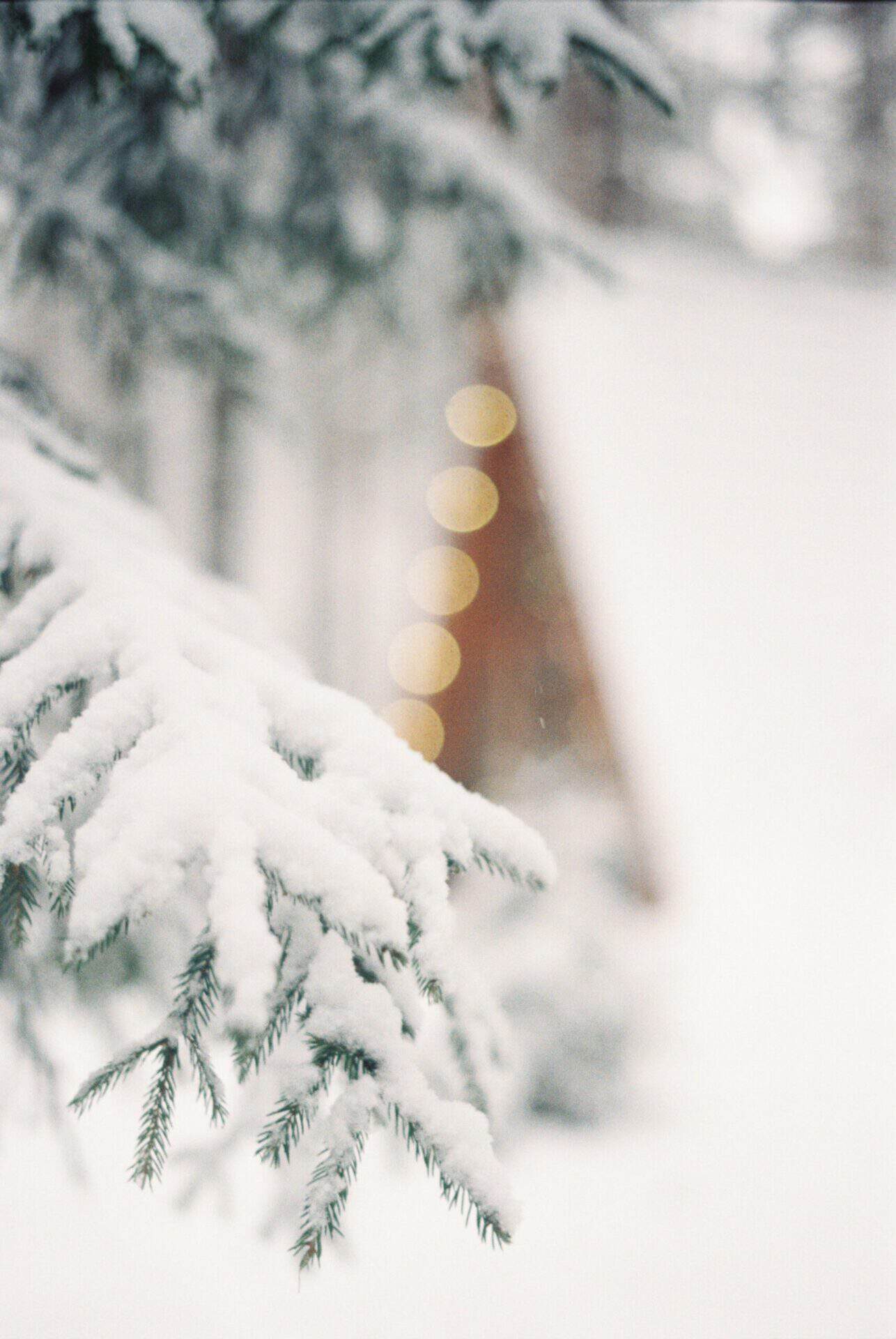 50+ AESTHETIC CHRISTMAS WALLPAPER BACKGROUNDS - Stylin by Sarita