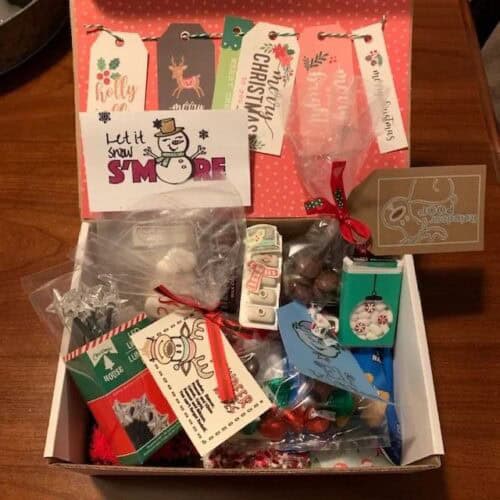 33 FESTIVE CHRISTMAS CARE PACKAGE IDEAS - Stylin by Sarita