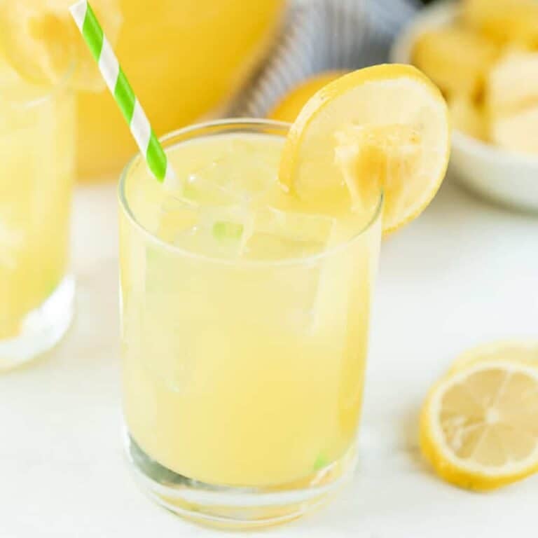 32 AMAZING HOMEMADE LEMONADE RECIPES FOR SUMMER - Stylin by Sarita
