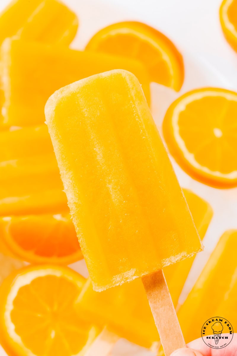 32 SUPER REFRESHING HOMEMADE POPSICLE RECIPES - Stylin by Sarita